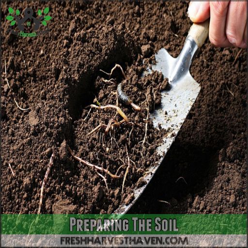 Vegetable Gardening Calendar by Month: Best Planting Times for 2024 Success