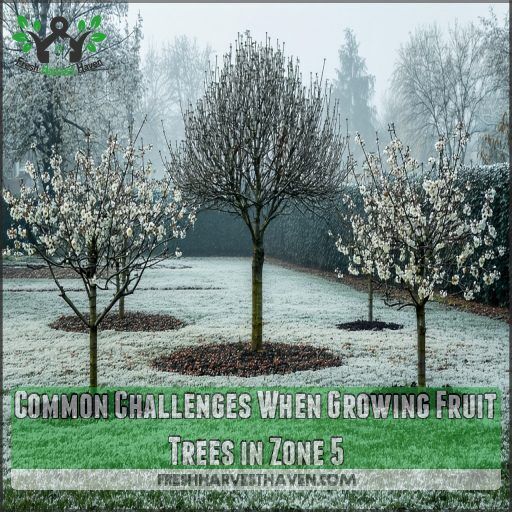 Top 10 Fruit Trees for Zone 5: Best Varieties for Your Garden in 2025