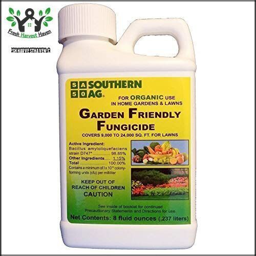 Best Fungicides for Vegetable Gardens: Top 8 Picks for 2026