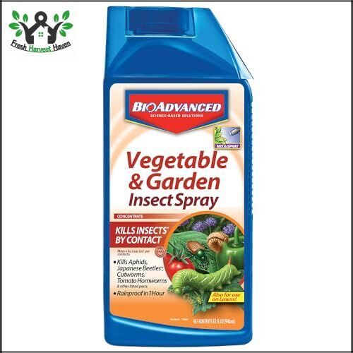 Safe Pest Control Vegetable Garden: 9 Best Products for 2025