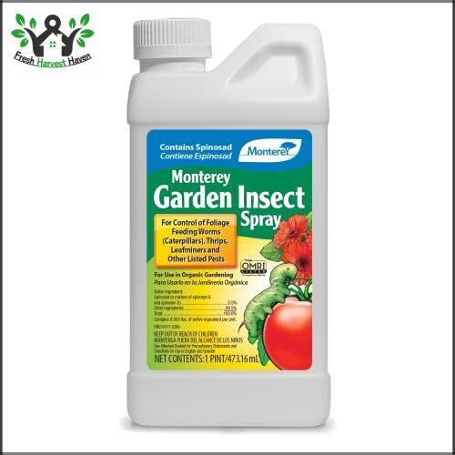 Safe Insecticide for Vegetable Garden: 9 Best Picks for 2025