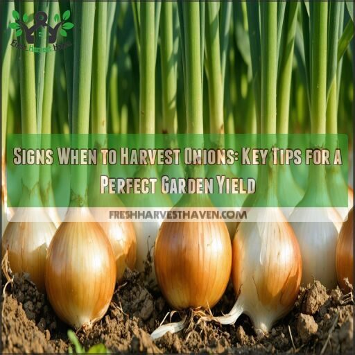 Signs When to Harvest Onions: Key Tips for a Perfect Garden Yield