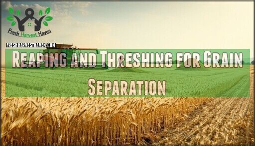 Harvesting Techniques for Different Crops: Tools, Machines, and Tips