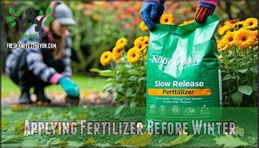 Fall Garden Fertilizer Recommendations: Top 5 for 2025 Growth