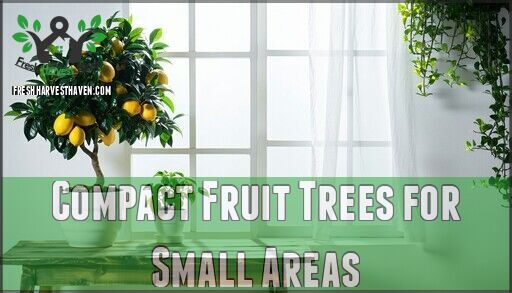 Easy Fruits to Grow Indoors: 15 Best Plants for Fresh Harvests!
