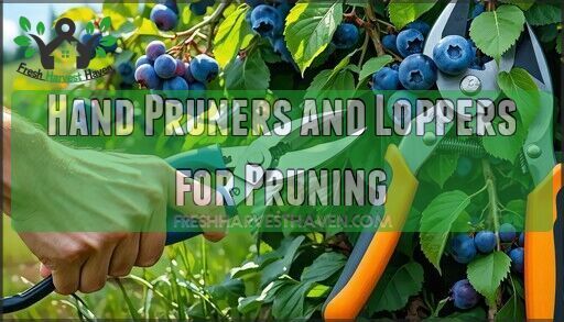 When to Prune Blueberry Bushes: Expert Tips for Maximum Harvest