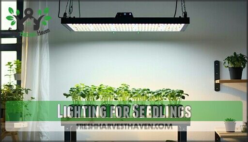 Easy Seed Starting for Beginners: Simple Guide to Growing Success