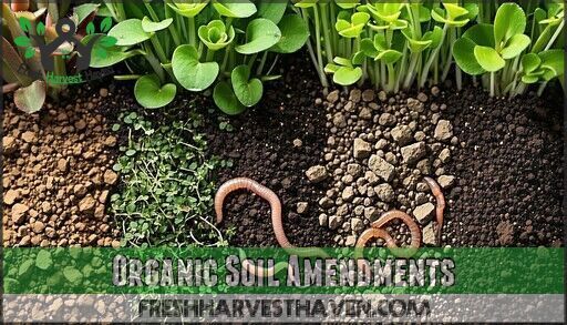 Best Soil Amendments for Winter Gardening: 7 Expert-Proven Tips