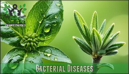 Common Herb Garden Pests Diseases: Simple Solutions & Prevention