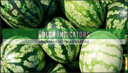 How to Harvest Ripe Blueberries: Perfect Timing & Techniques