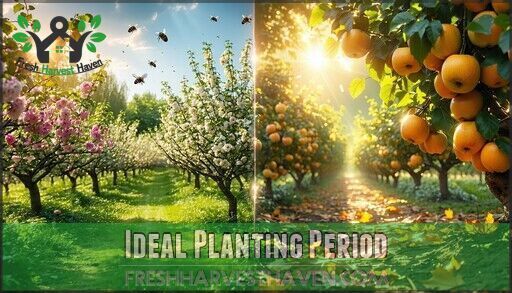 Best Time to Plant Fruit Trees: Spring Vs Fall Planting Guide