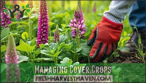 Fall Garden Cover Crops: Boost Soil Health & Beat Weeds This Autumn