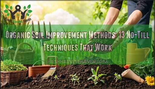 Organic Soil Improvement Methods: 13 No-Till Techniques That Work