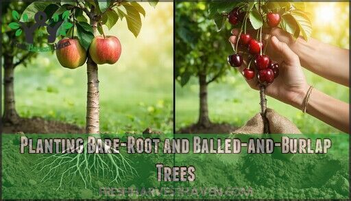 Fruit Tree Care Calendar: Year-Round Tips for Healthy Trees