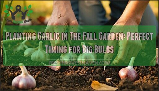 Crop Rotation and Companion Planting: a Practical Guide for 2025