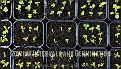 Growing Blueberries From Seed: Step-by-Step Guide for Home Gardeners