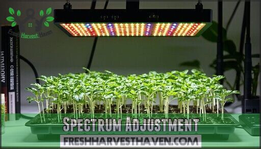 Indoor Seed Starting Light Requirements: Complete Setup Guide 2025