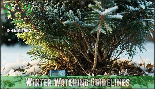 Winter Garden Watering Schedule: 2025 Rules & Water Conservation Tips