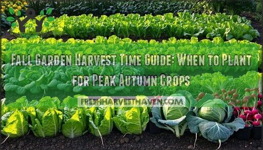 Fall Garden Harvest Time Guide: When to Plant for Peak Autumn Crops