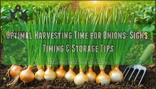 Optimal Harvesting Time for Onions: Signs, Timing & Storage Tips