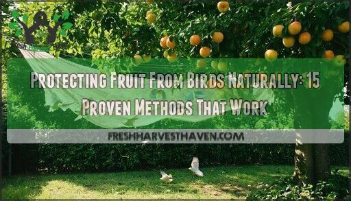 Protecting Fruit From Birds Naturally: 15 Proven Methods That Work