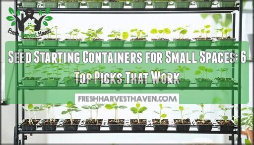 Seed Starting Containers for Small Spaces: 6 Top Picks That Work