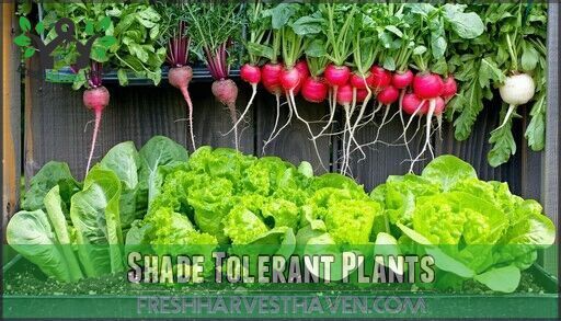 Sunlight Requirements for Vegetable Garden: Complete Growing Guide