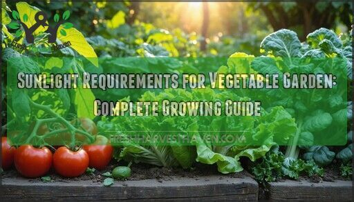 Sunlight Requirements for Vegetable Garden: Complete Growing Guide