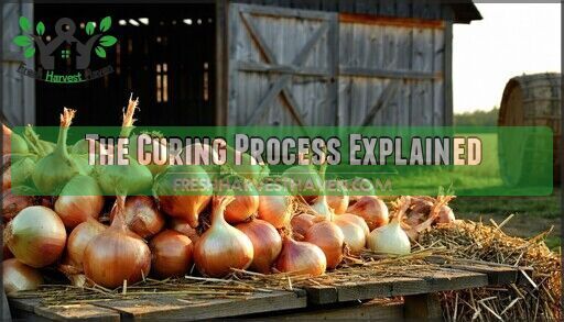 Optimal Harvesting Time for Onions: Signs, Timing & Storage Tips