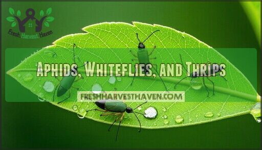 Identifying Common Garden Pests: Quick Visual Guide for Gardeners