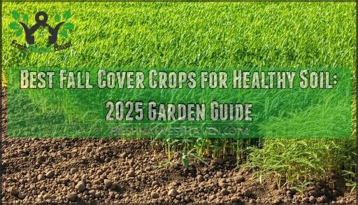Best Fall Cover Crops for Healthy Soil: 2025 Garden Guide