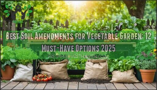 Best Soil Amendments for Vegetable Garden: 12 Must-Have Options 2025