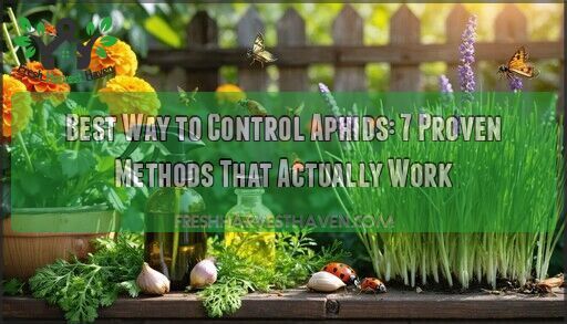 Best Way to Control Aphids: 7 Proven Methods That Actually Work