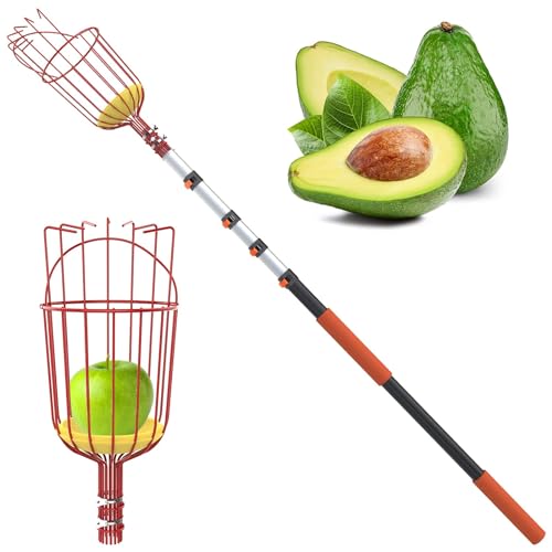 Easy Fruit Harvesting Tools: 8 Best Pickers for Effortless 2025