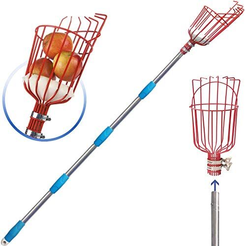Easy Fruit Harvesting Tools: 8 Best Pickers for Effortless 2025