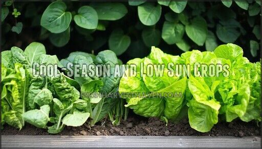 Vegetable Gardening With Limited Sunlight: 15 Shade-Tolerant Crops
