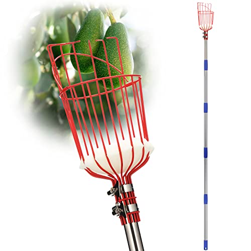 Easy Fruit Harvesting Tools: 8 Best Pickers for Effortless 2025