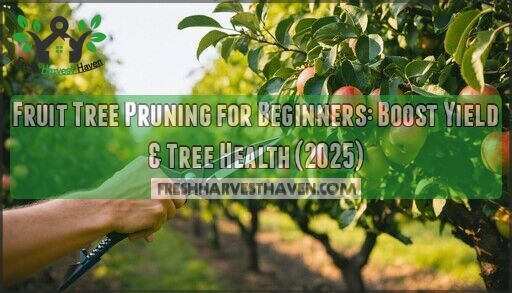 Fruit Tree Pruning for Beginners: Boost Yield & Tree Health (2025)