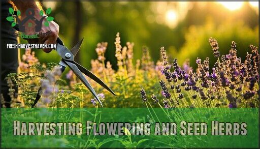 Proper Harvesting Methods for Herbs: 5 Steps to Maximum Potency