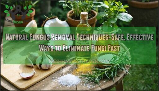 Natural Fungus Removal Techniques: Safe, Effective Ways to Eliminate ...