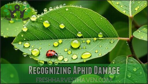 Homemade Solutions for Aphids: 6 DIY Sprays That Work Fast