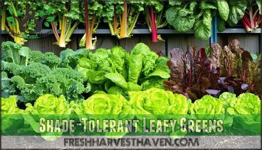 Vegetable Gardening With Limited Sunlight: 15 Shade-Tolerant Crops