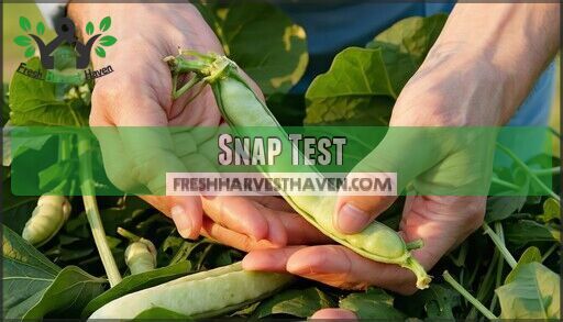 Harvesting Beans for Extended Yield: Expert Tips for Maximum Production