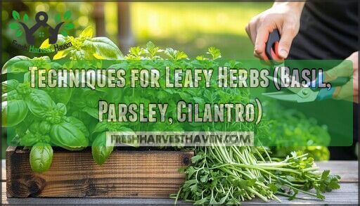 Proper Harvesting Methods for Herbs: 5 Steps to Maximum Potency