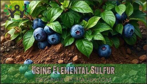 Growing Blueberries in Acidic Soil: 5 Proven Methods That Work