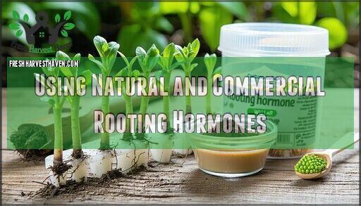 Growing Fruit Trees From Cuttings: Step-by-Step Guide for Success