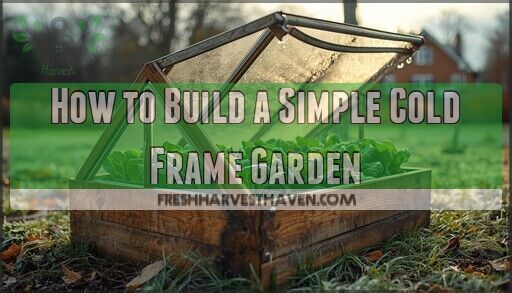 How to Build a Simple Cold Frame Garden