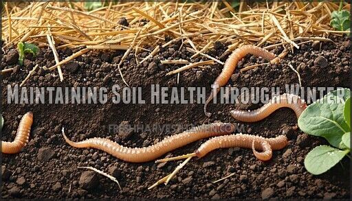 How to Prepare Soil for Winter Vegetables: 10-Step Guide
