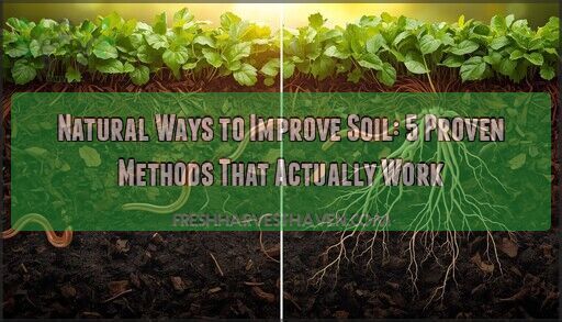 Natural Ways to Improve Soil: 5 Proven Methods That Actually Work