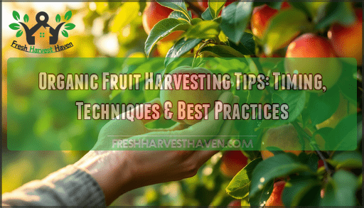 Organic Fruit Harvesting Tips: Timing, Techniques & Best Practices